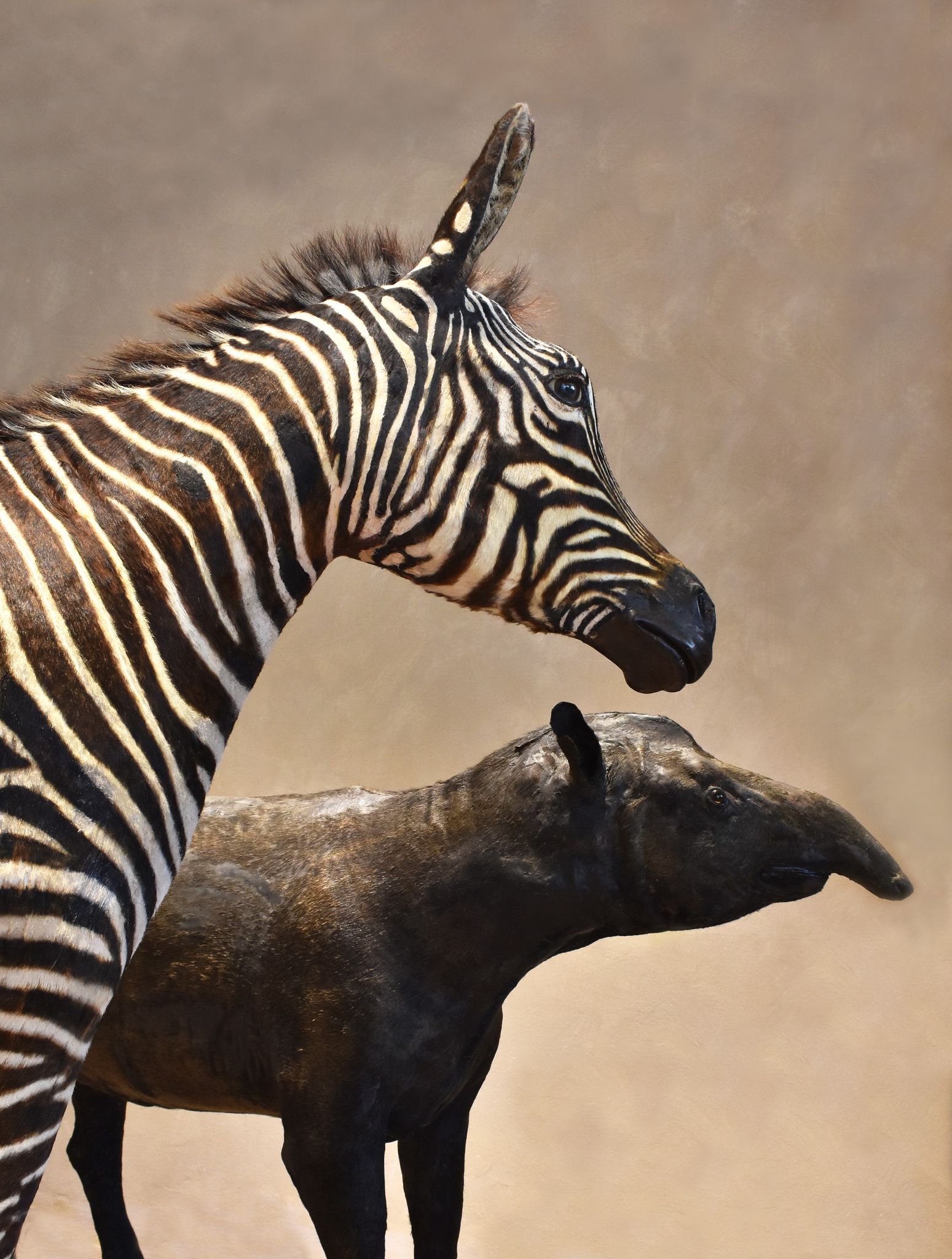 VISITE GUIDATE AL MUSEO, speciale 29 e 30 maggio - Museo di Storia ...