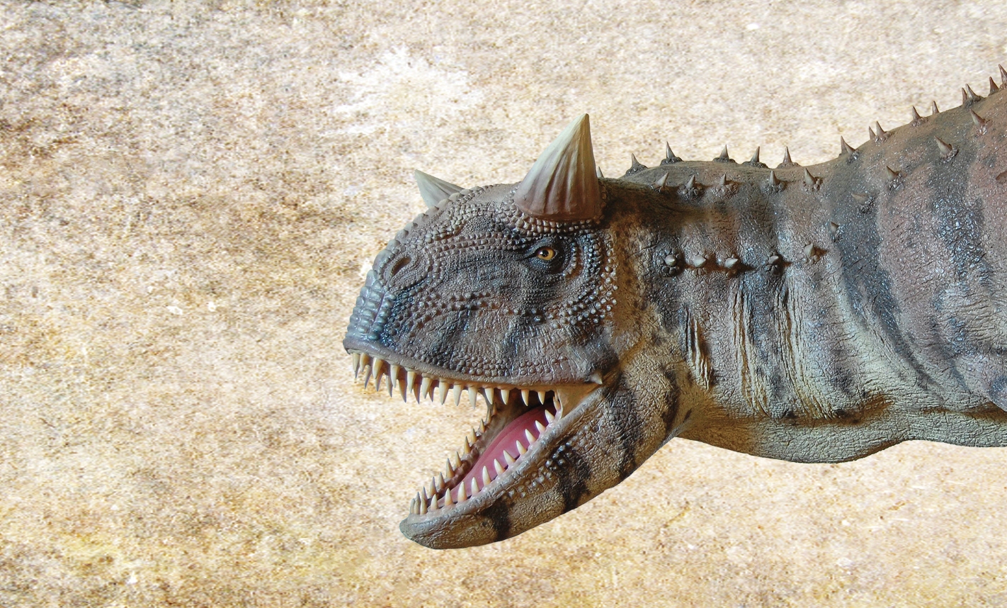 Dinosauri: predatori e prede - Museo di Storia Naturale dell'Università ...