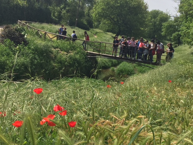 Da tutta la Toscana per scoprire i tesori del Monte Pisano - Museo di ...