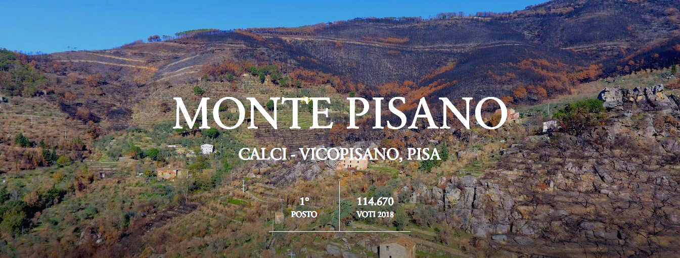 Tornerà il verde! Il Monte Pisano Luogo del cuore FAI - Museo di Storia ...