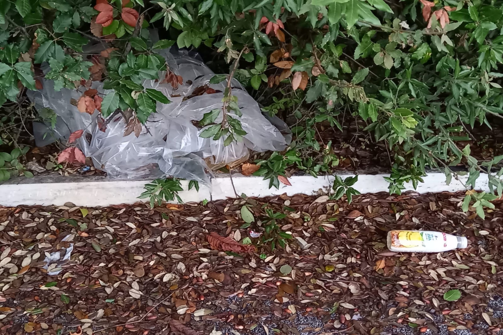 Plastic-click: la mostra virtuale - Museo di Storia Naturale dell ...