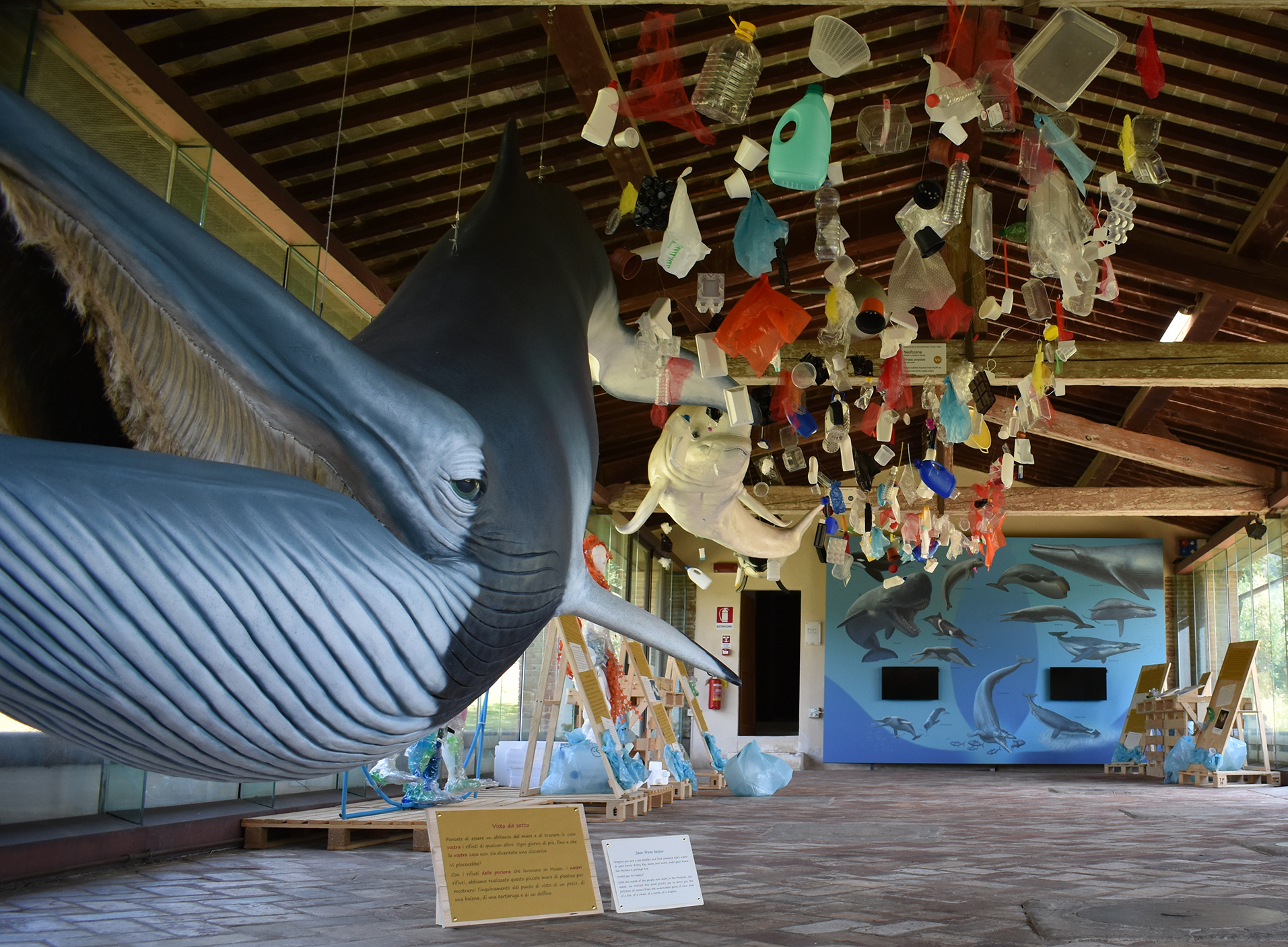 La mostra "La plastica e noi" - Museo di Storia Naturale dell ...
