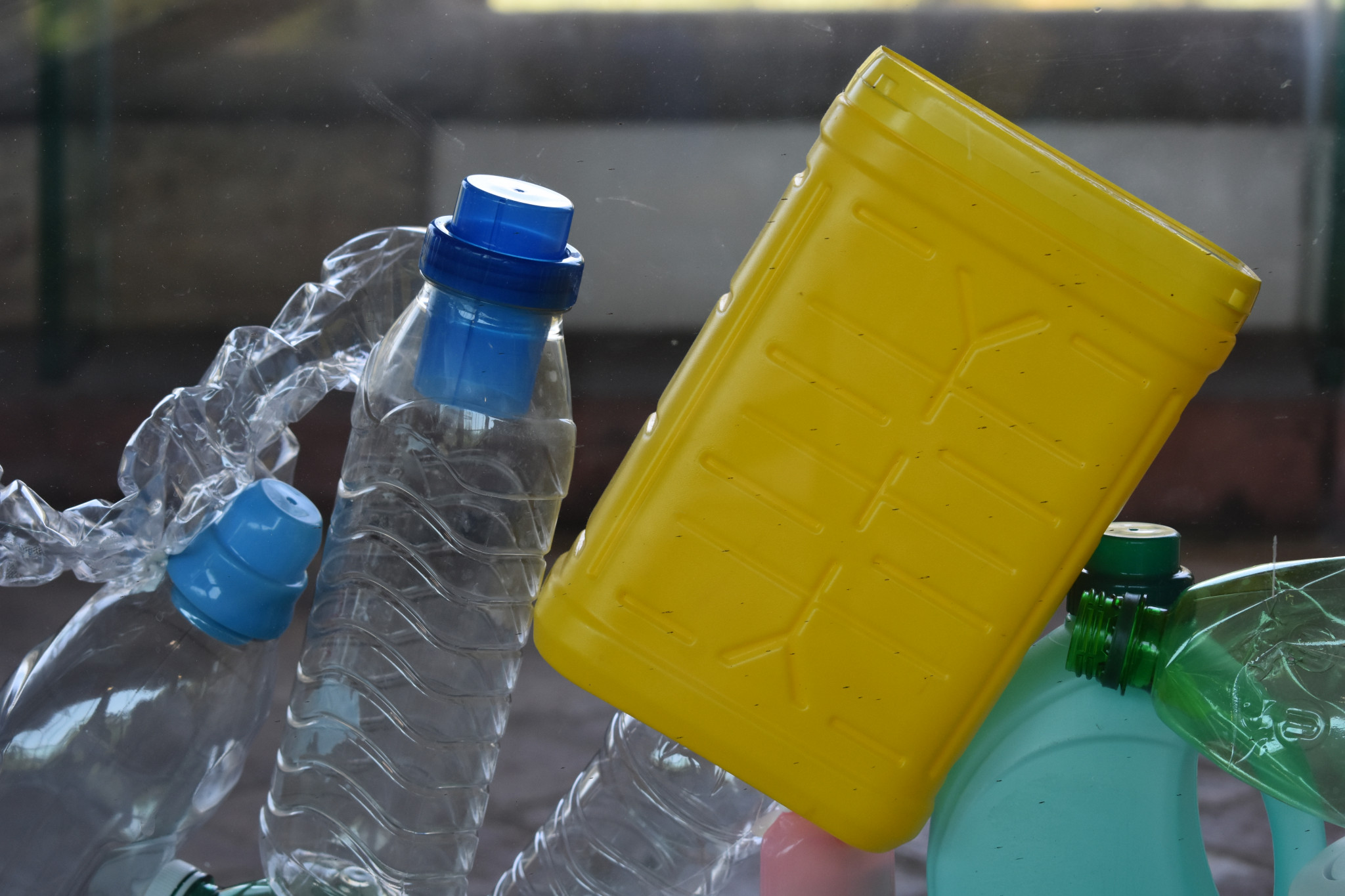 La mostra "La plastica e noi" - Museo di Storia Naturale dell ...